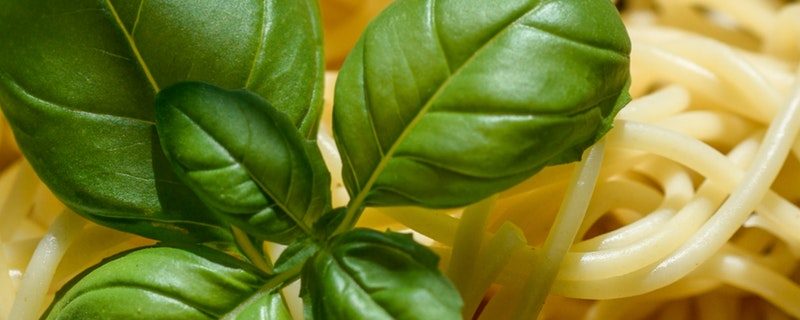 Farmer's Pasta - CookDiaries